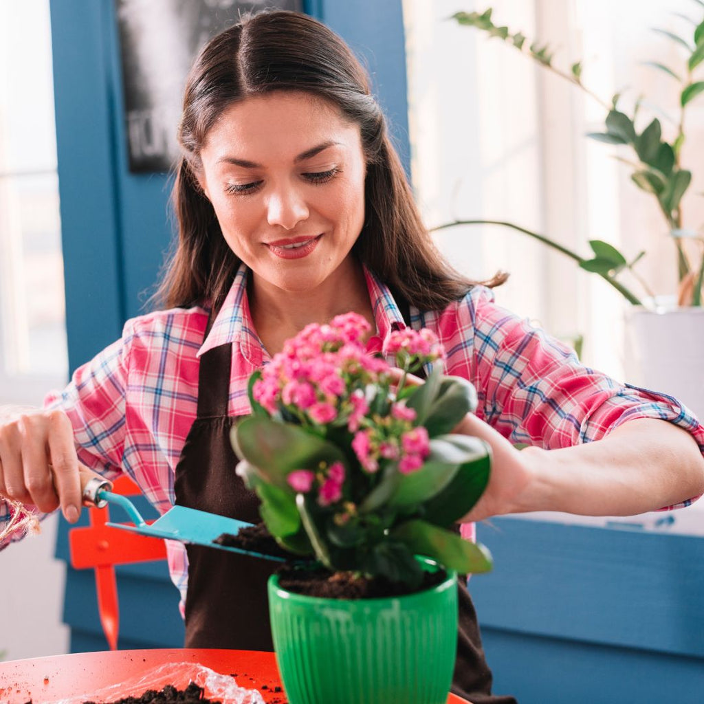 5 Cara Merawat Buket Bunga agar Tetap Segar dan Tahan Lama di Rumah ...