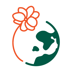 Arti & Makna Bunga Hydrangea – FlowerAdvisor